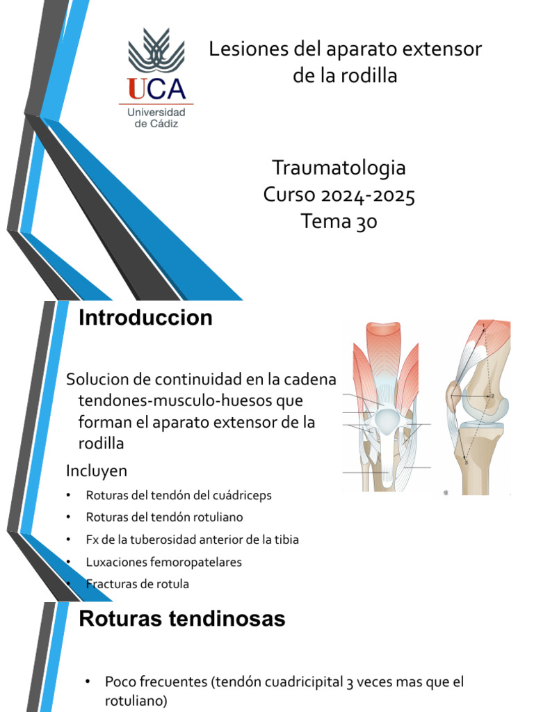 Lesiones del aparato extensor de rodilla | PDF | Rodilla | Enfermedades ...