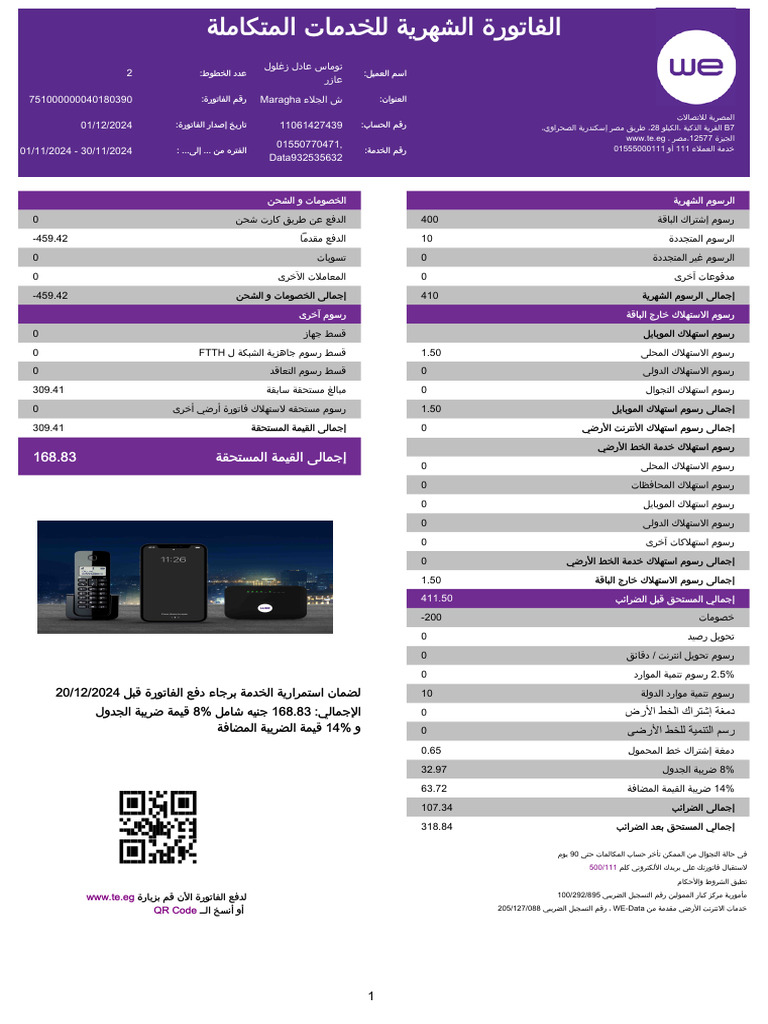 Invoice 20241101 | PDF