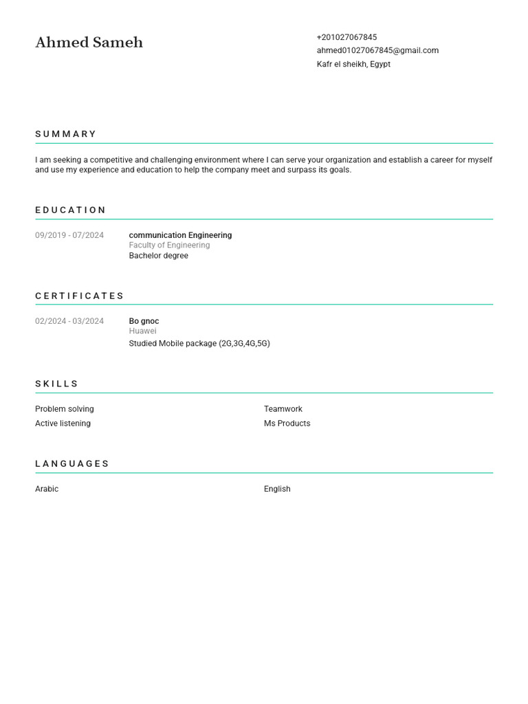 Ahmed Sameh - CV | PDF