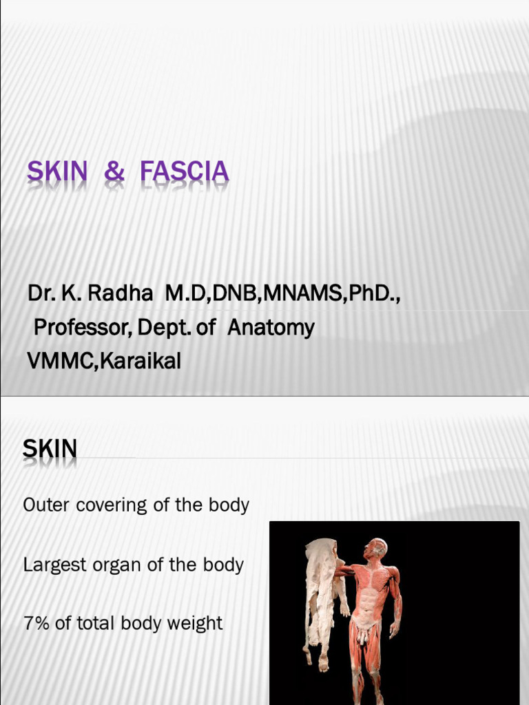 Skin&Fascia Ppt | PDF | Skin | Epidermis