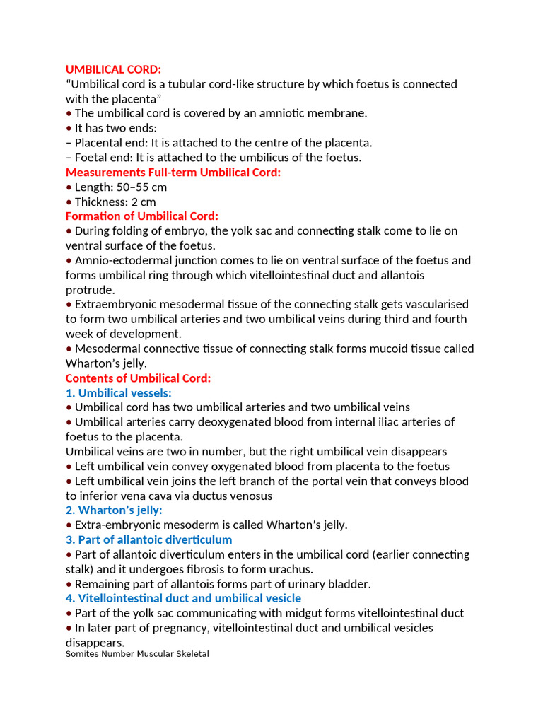 Anatomy and Formation of Umbilical Cord | PDF