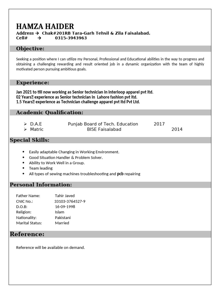 Hamza Cv Simple | PDF