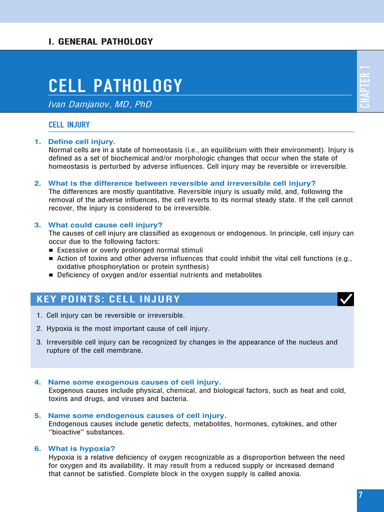 First Page PDF | PDF