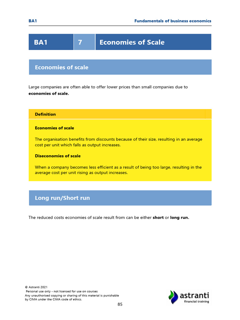 Understanding Economies of Scale | PDF | Economies Of Scale | Economics