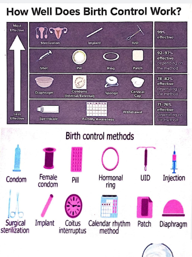 Biology Project | PDF | Birth Control | Fertility