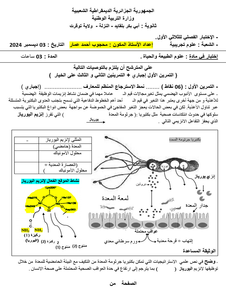 Examen Mahdjoub 2025 | PDF