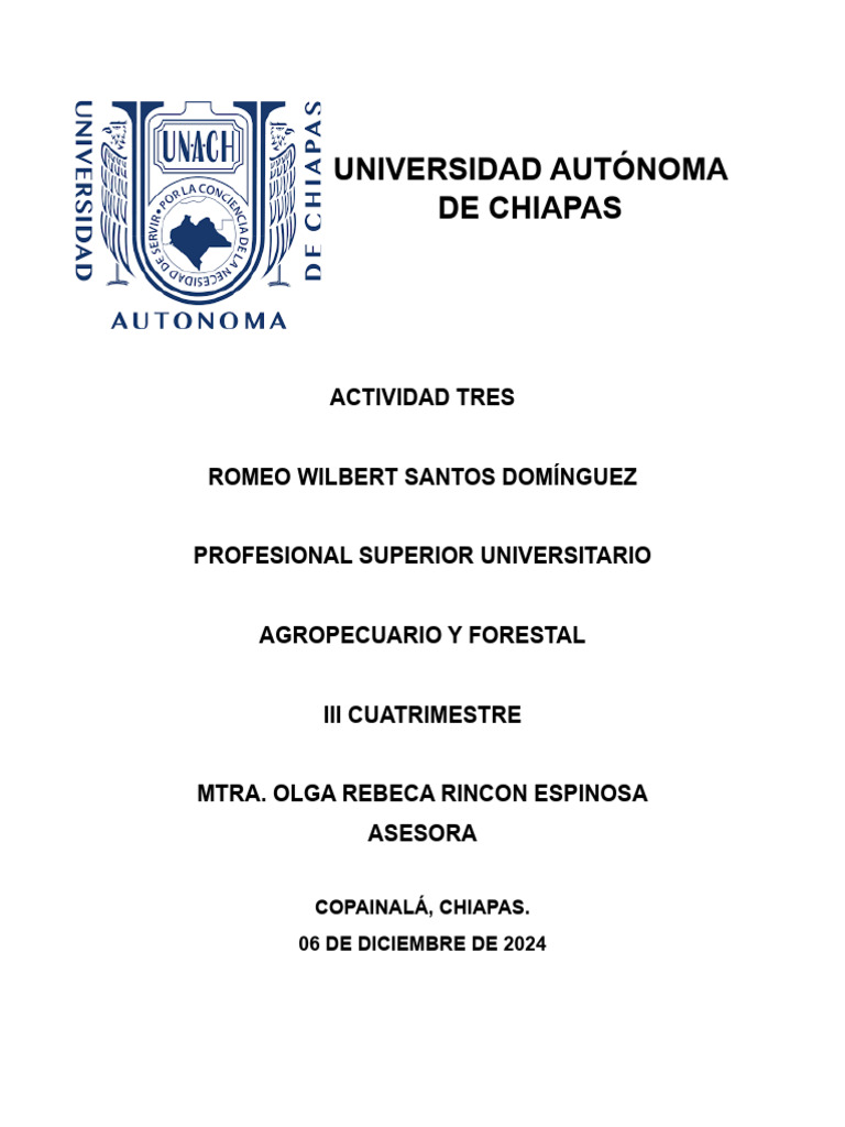 Actv-Final Asig3 | PDF