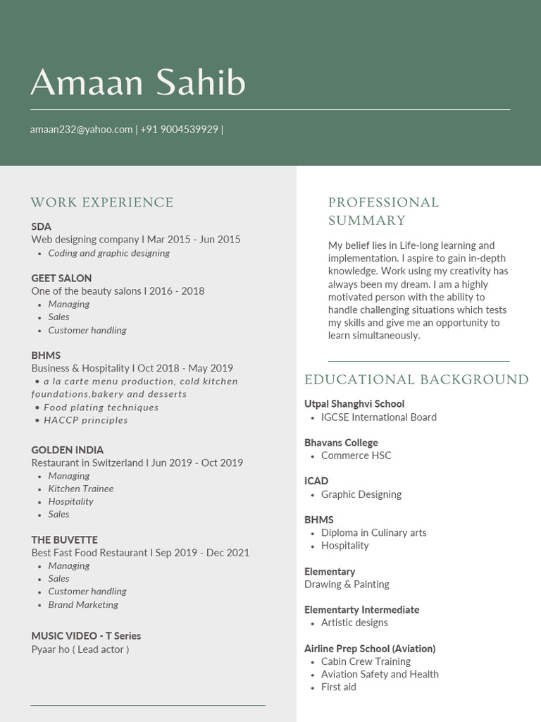 Green and Grey Color Blocks Digital Marketing Resume | PDF | Cognition
