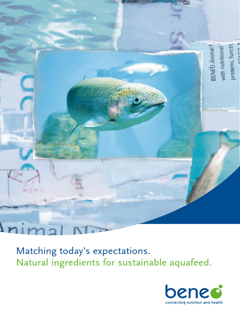 Beneo Brochure Aquafeed en 201603 | PDF