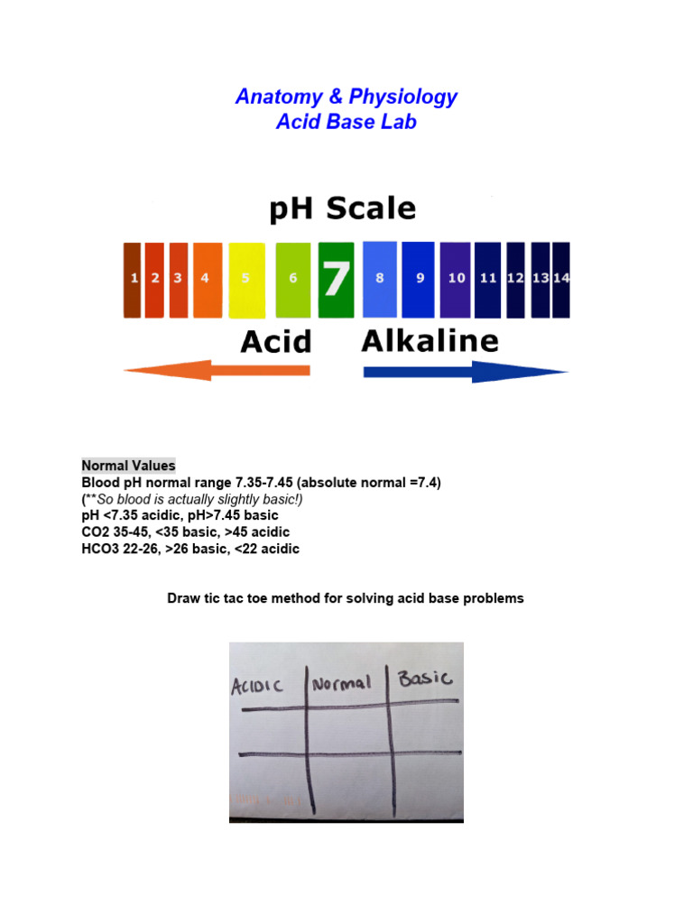 Anatomy+%26+Physiology+Acid+Base+Lab | PDF | Bicarbonate