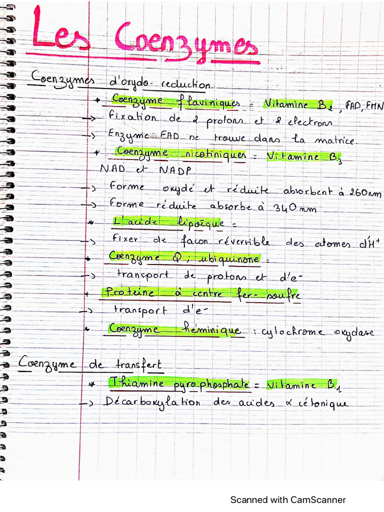 Biochimie Les Coenzymes | PDF