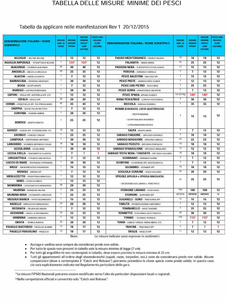 Tabella Misure 2016 | PDF