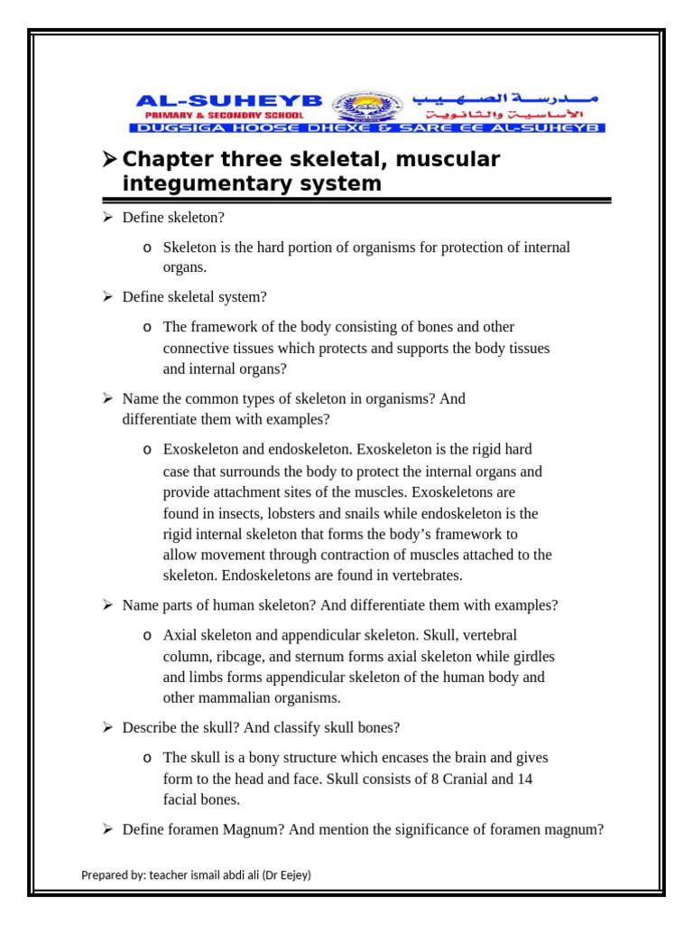 Chapter Three Skeletal Biology f4 | PDF | Skeleton | Bone