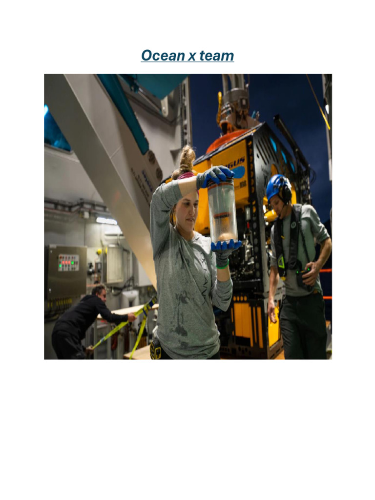 Ocean X Team 1 | PDF