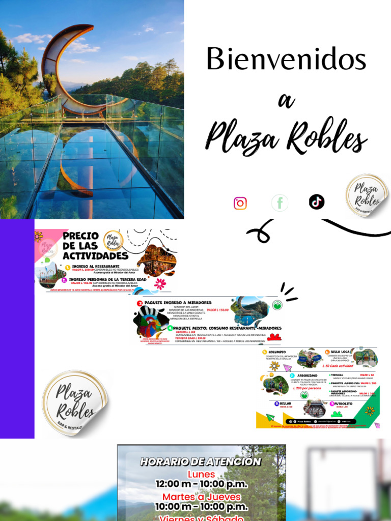 Información Plaza Robles | PDF