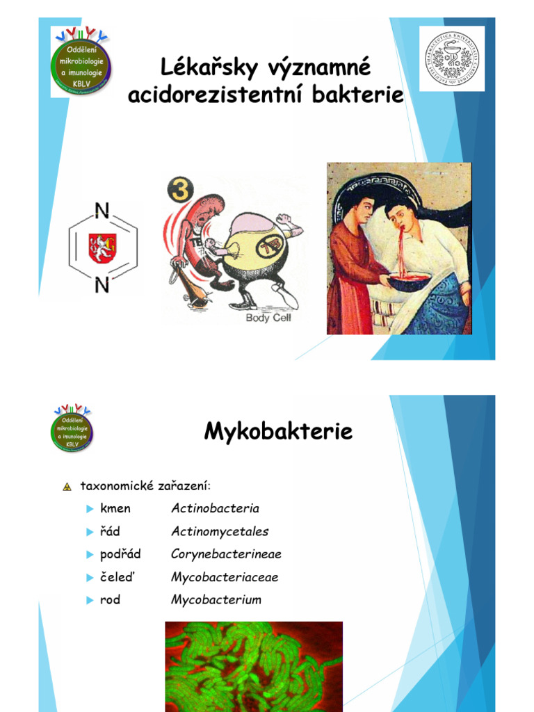 Lekarsky Vyznamne Acidorezistentni Bakterie | PDF
