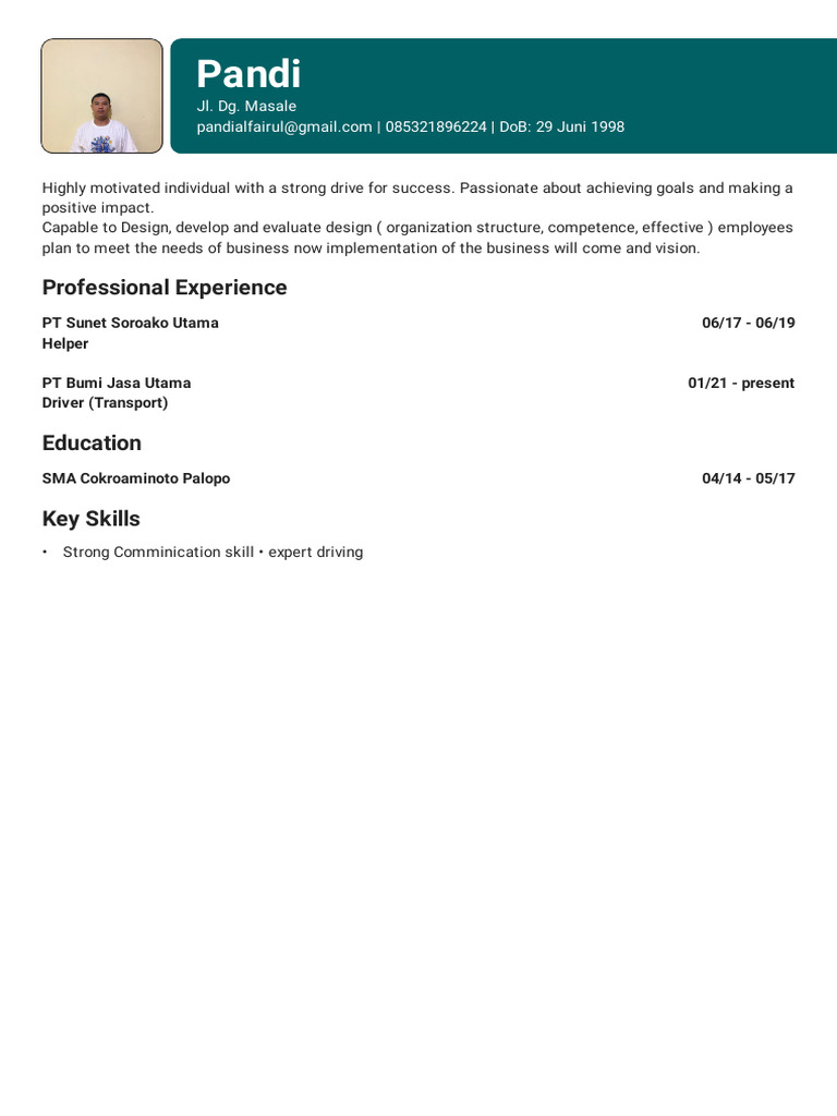 Pandi: Professional Experience | PDF