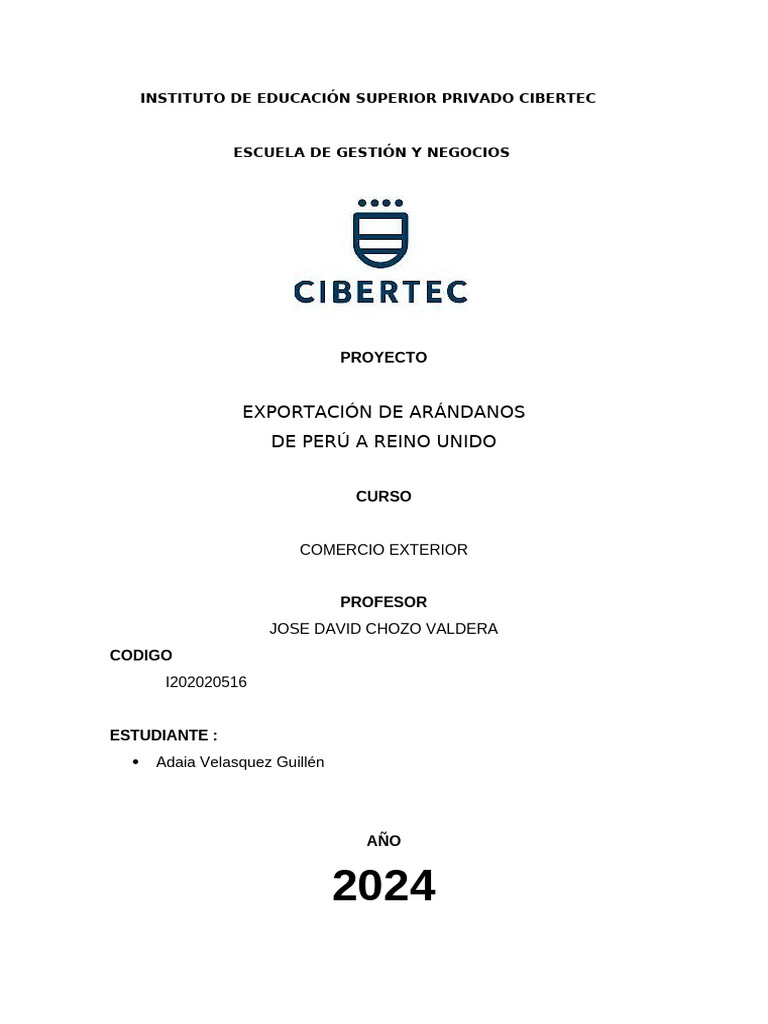 Proyecto - Exp de Arandanos Final 2024 | PDF | Logística | Mercado (economía)