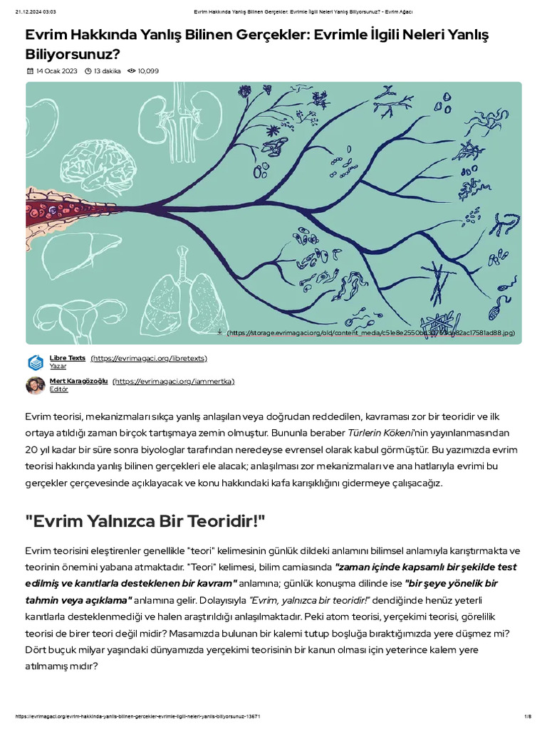 Evrim Hakkında Yanlış Bilinen Gerçekler - Evrimle İlgili Neleri Yanlış ...
