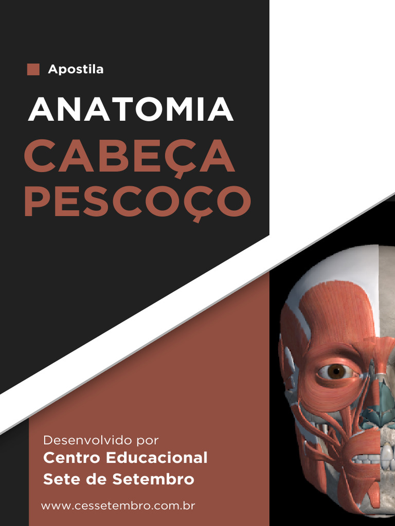 Anatomia da Cabeça e Pescoço | PDF | Anatomia humana | Cabeça e pescoço ...
