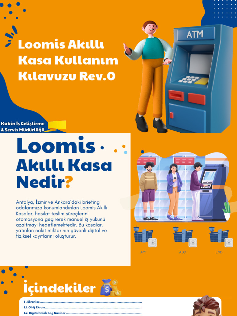 Loomis SafePoint User Guide Rev0 | PDF