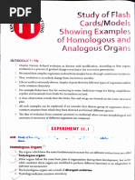Permanent Slide Preparation Guide | PDF | Histology | Fixation (Histology)