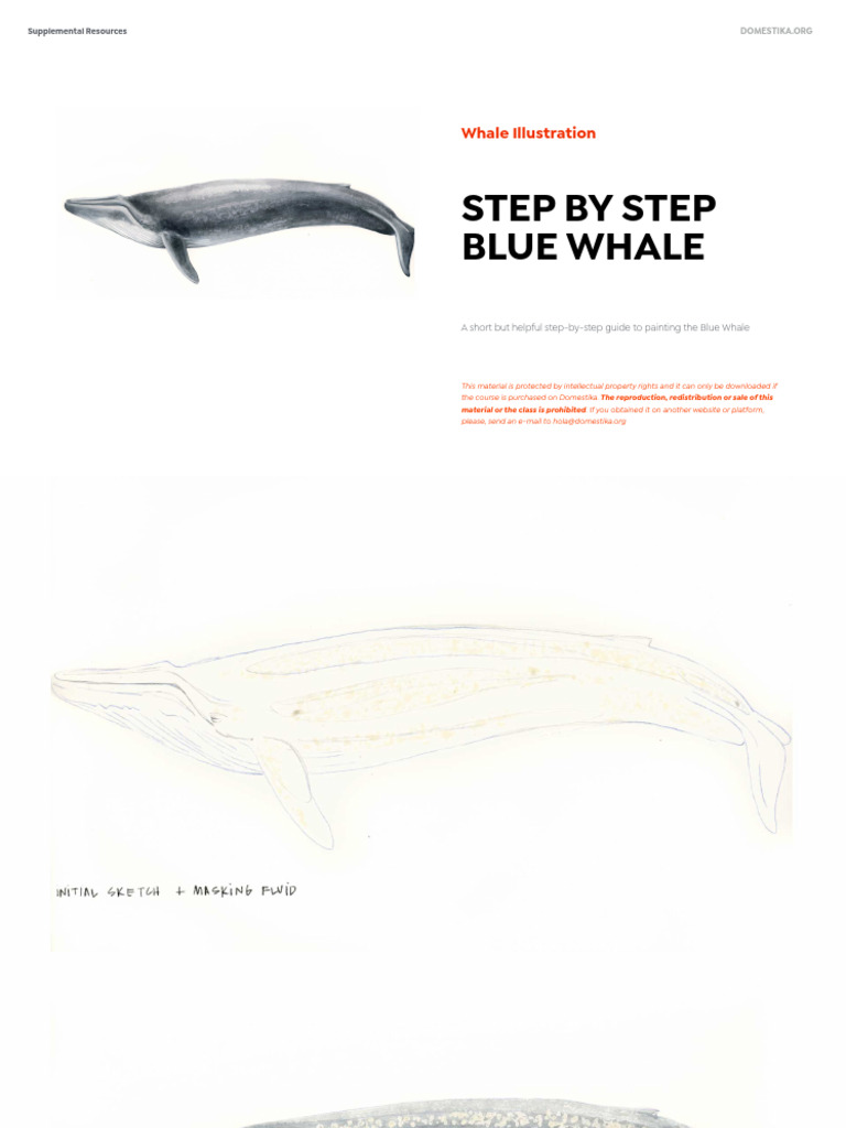 Step-by-Step Blue Whale Painting Guide | PDF