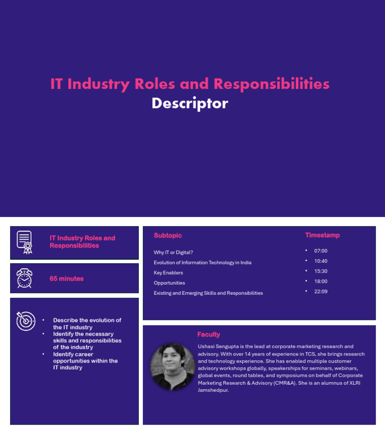 Original 1729759571 IT Industry Roles and Responsibilities Descriptor | PDF