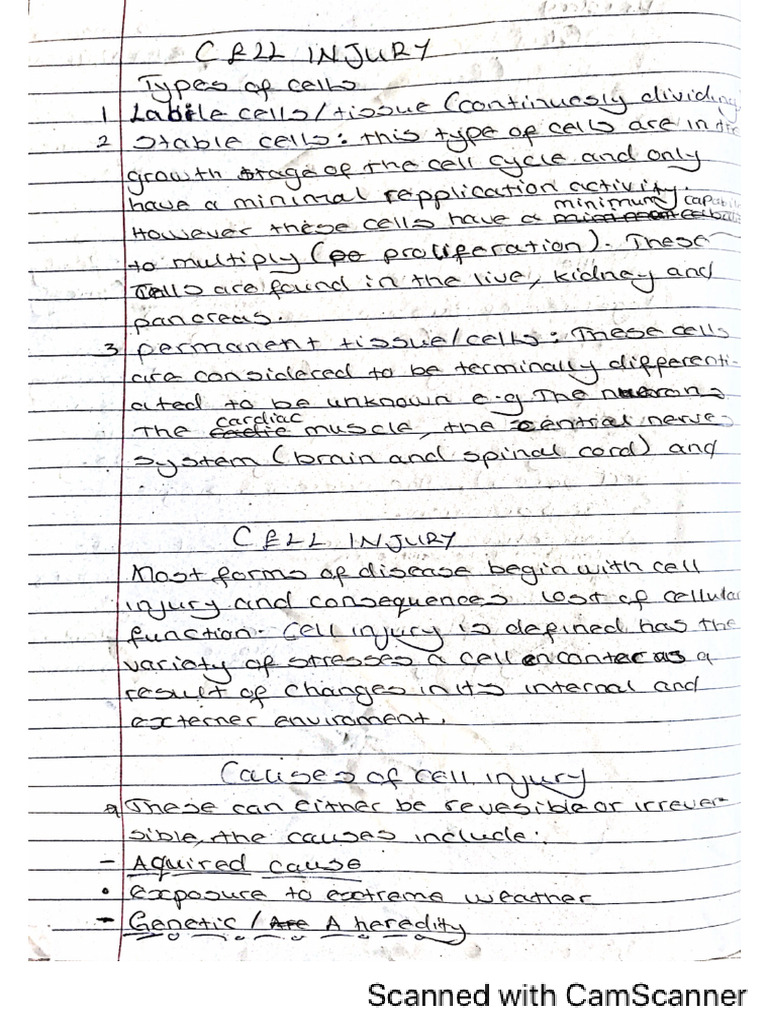 Cell Injury-pathology | PDF