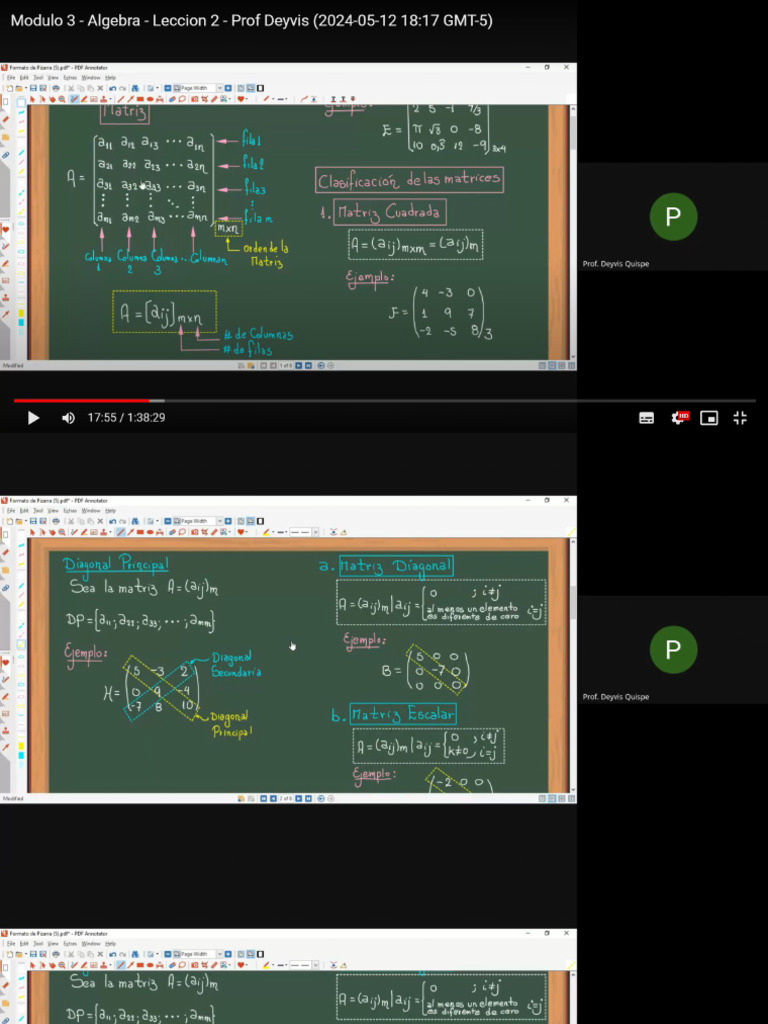ALGEBRA PRE VIRTUAL matrices | PDF