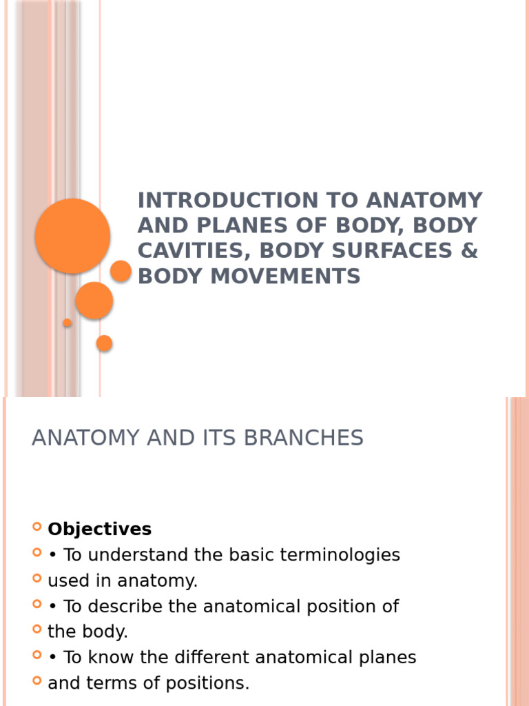 Anatomy Basic | PDF | Anatomical Terms Of Motion | Anatomical Terms Of ...