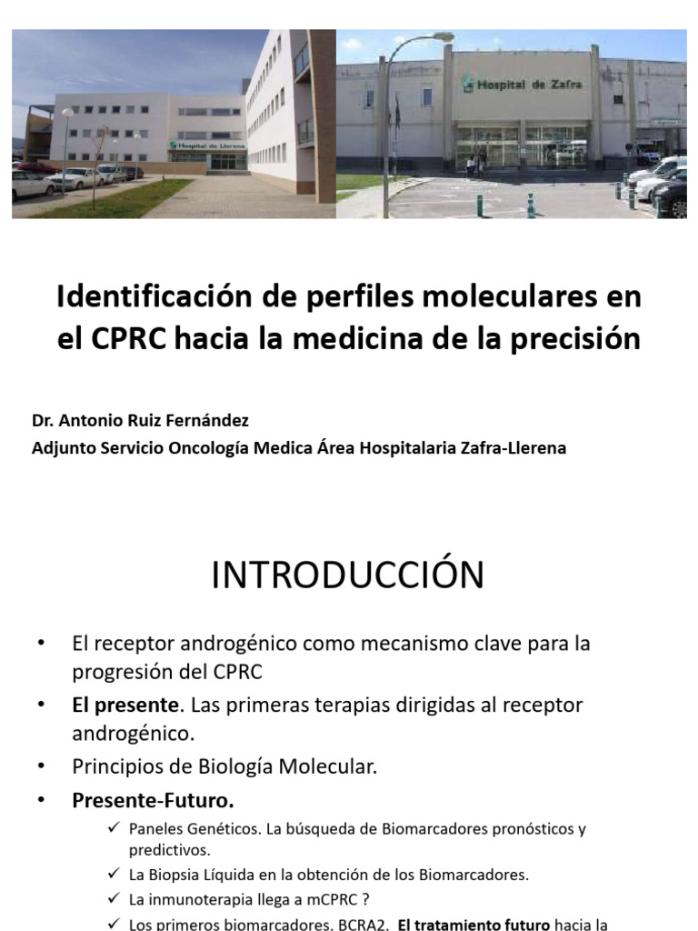Perfiles Moleculares en Ca Prostata CPRC Antonio Ruiz Fernandez | PDF | Receptor (Bioquímica ...