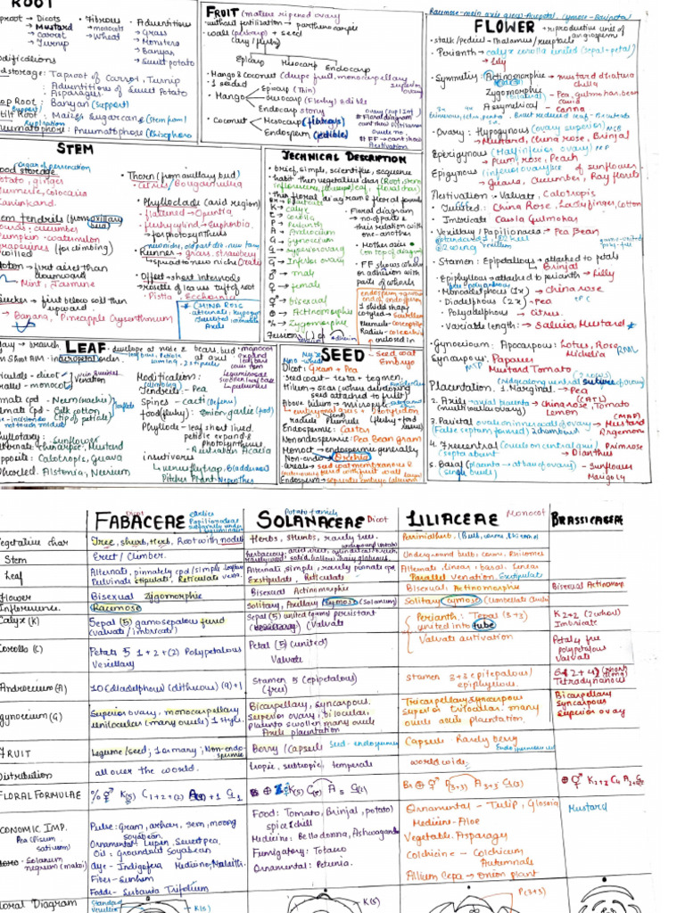complete morphology - Astha Singh.pdf | PDF