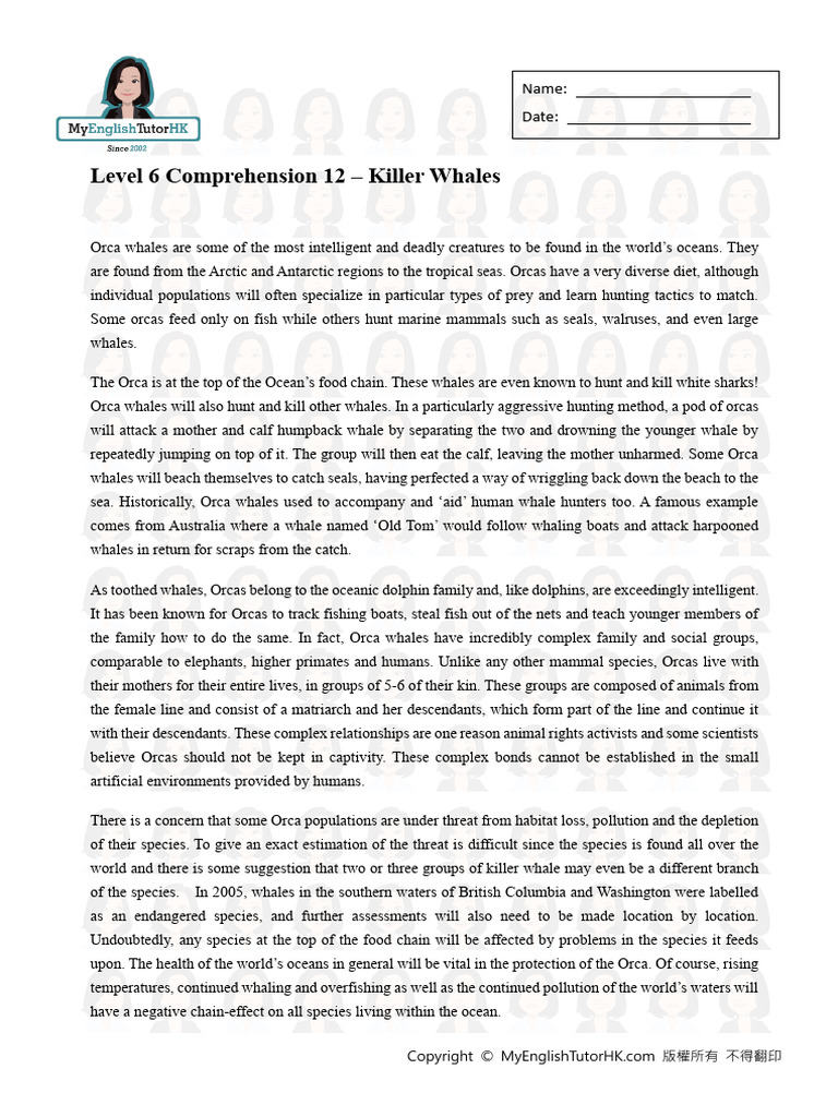 Level 6 Comprehension 12 Killer Whales 20394944 | PDF | Whales | Marine ...