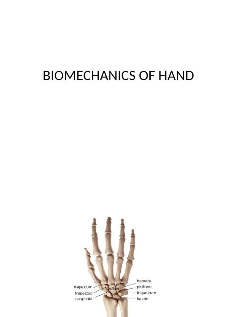 Biomechanics of Hand | PDF