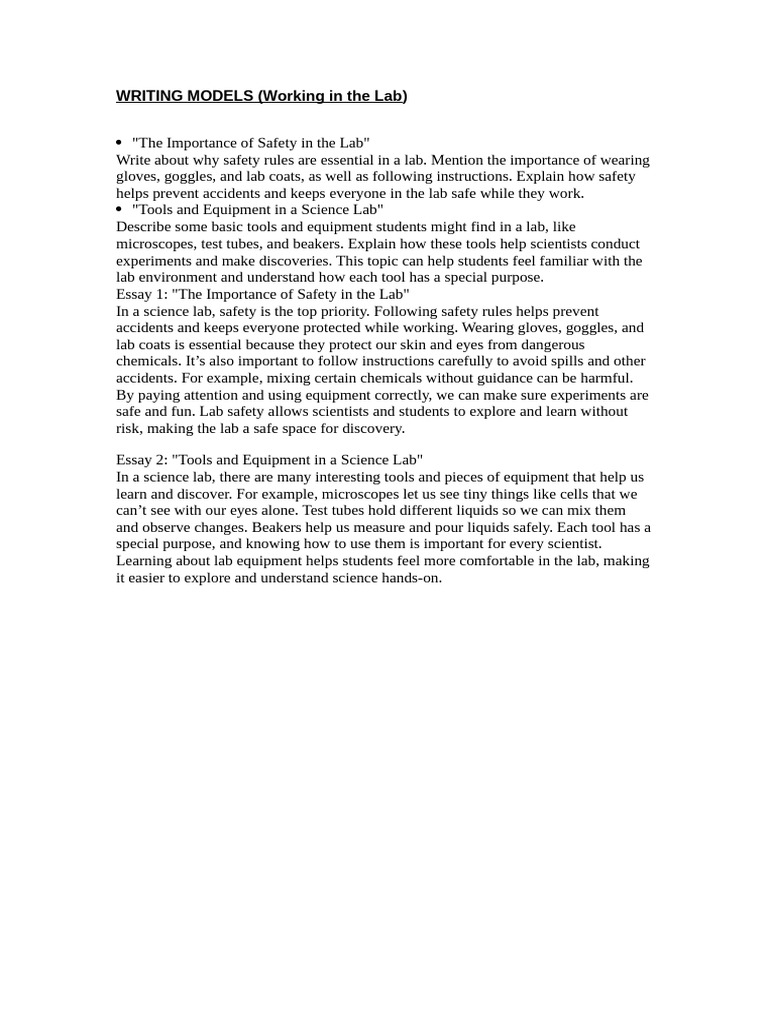 Writing Models (1) | PDF