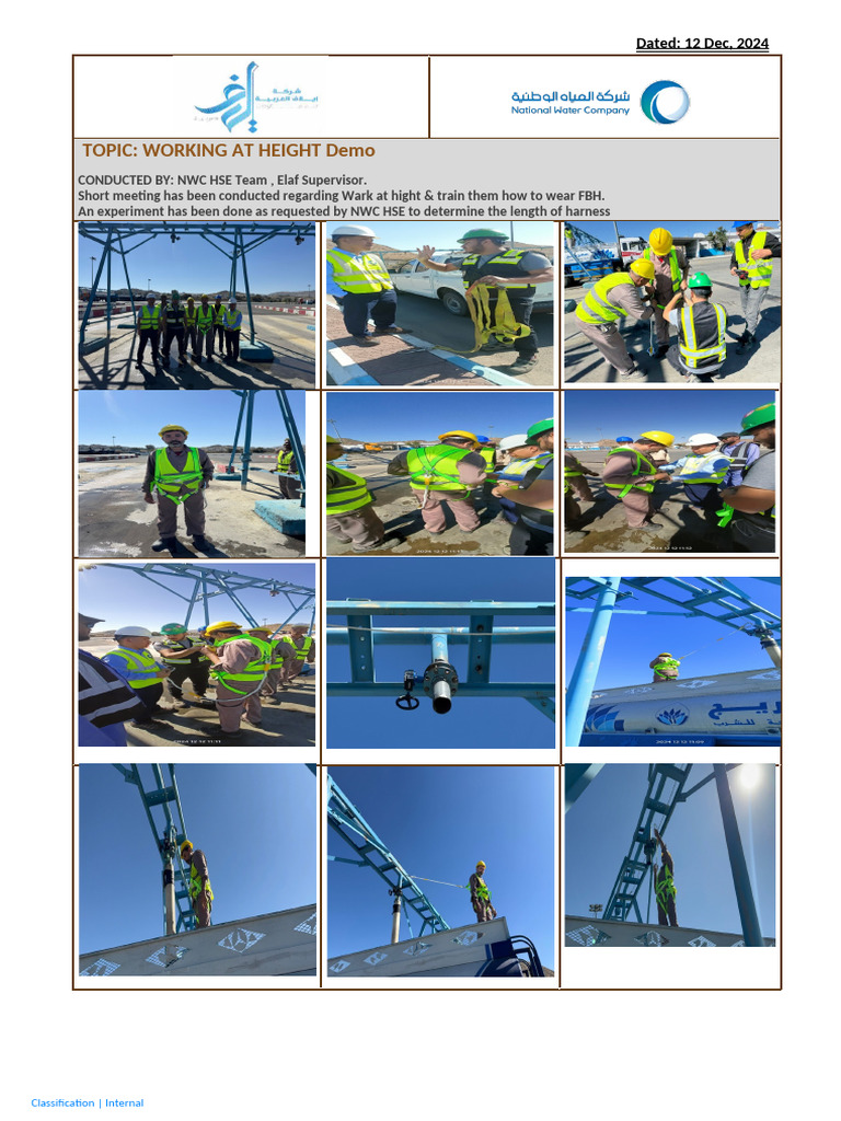 Demo - Working at Height | PDF
