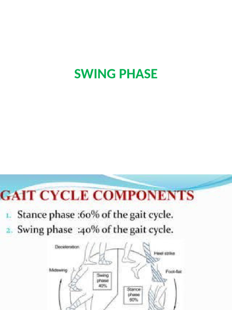 Swing Phase | PDF