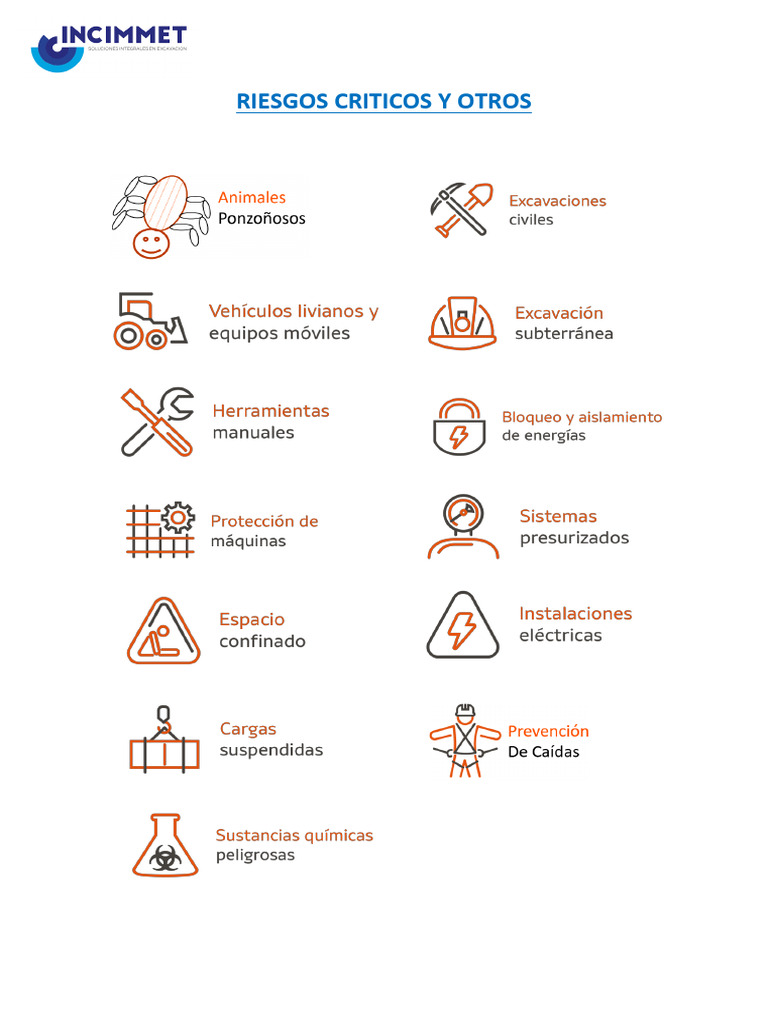 Riesgos Críticos y Seguridad en Nexa | PDF