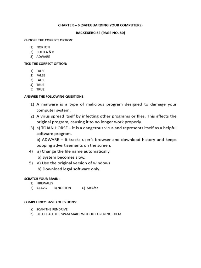 Safeguarding Your Computer: Class 6 Guide | PDF