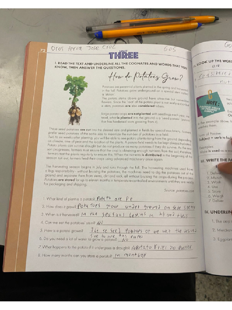 Oros Feria Jose Cruz - 605 | PDF