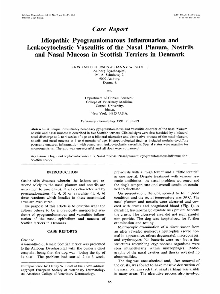 Idiopathic Pyogranulomatous Inflammation and Leukocytoclastic ...