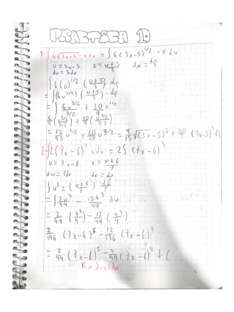 P10 MacedoHarimAlejandro | PDF