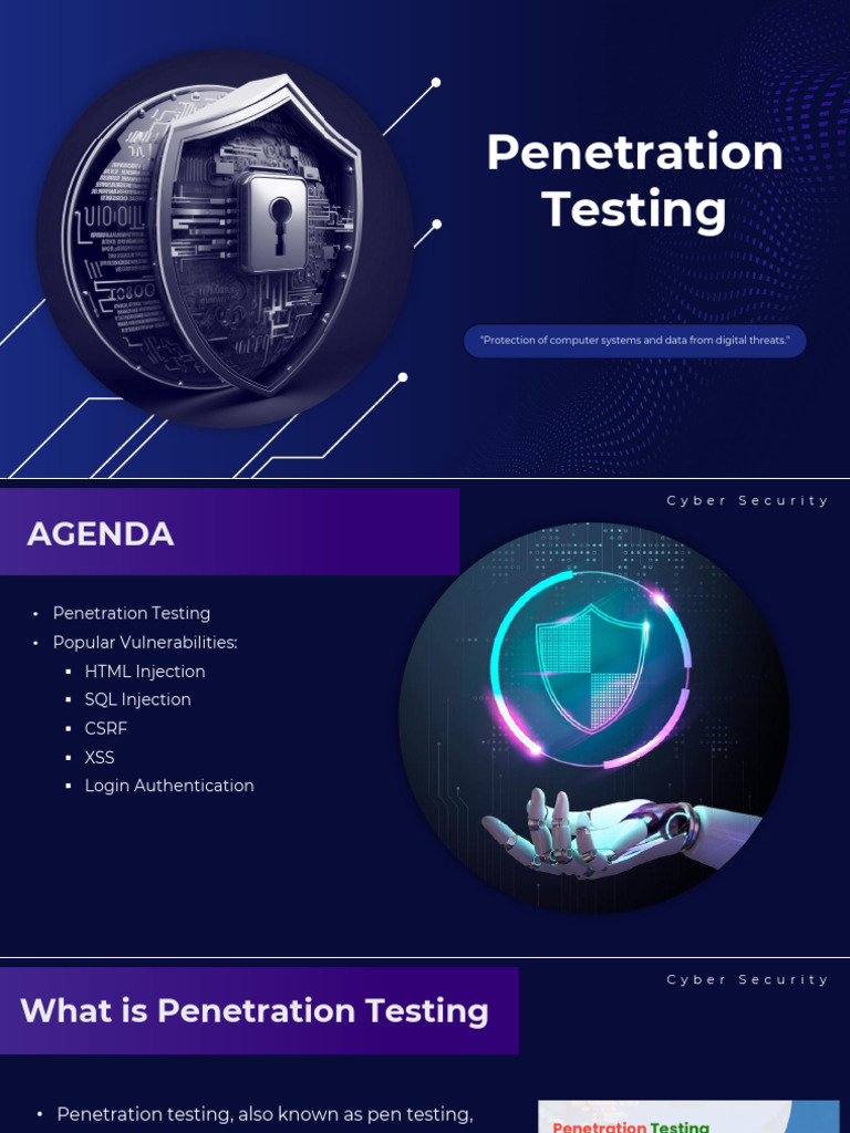 Penetration Testing Final | PDF | Information Technology Management ...