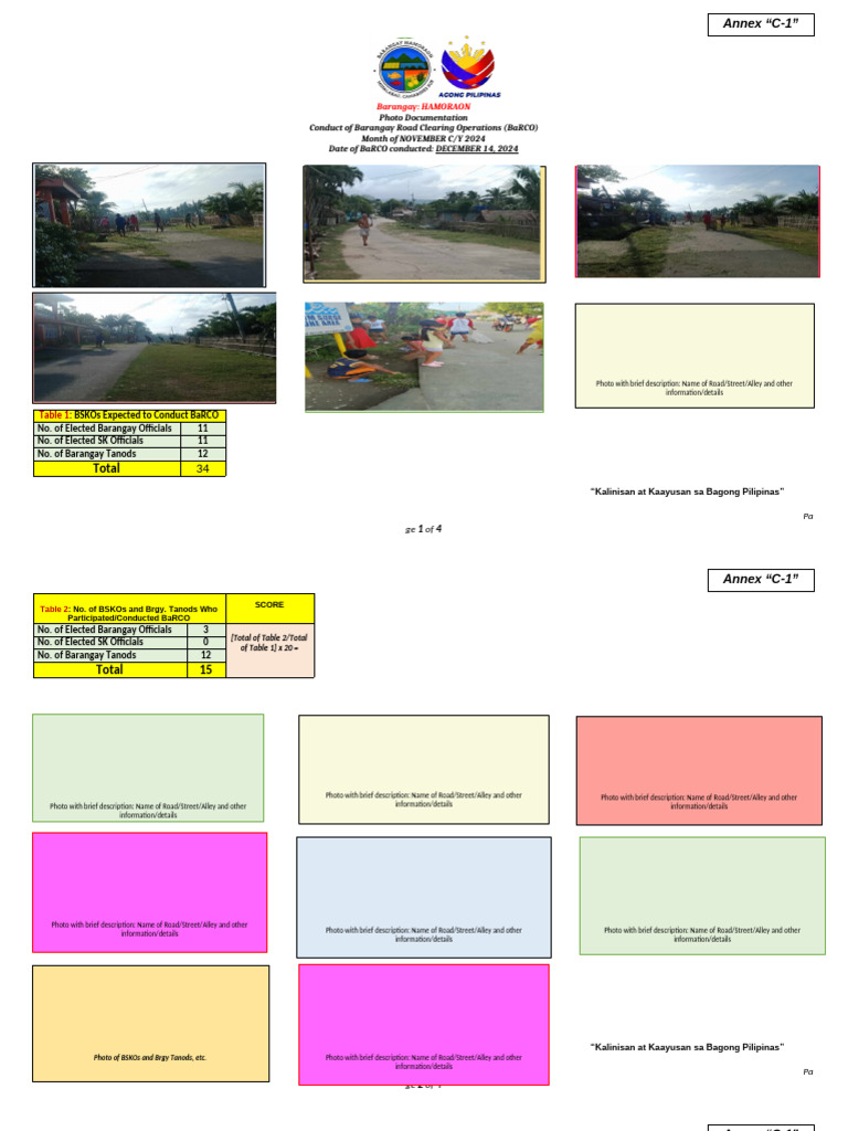 Annex C 1 Photo Documentation Barangay BaRCO Monthly Monitoring Report Template With BSKO ...