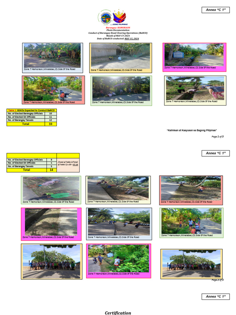 Road Clearing (1) | PDF