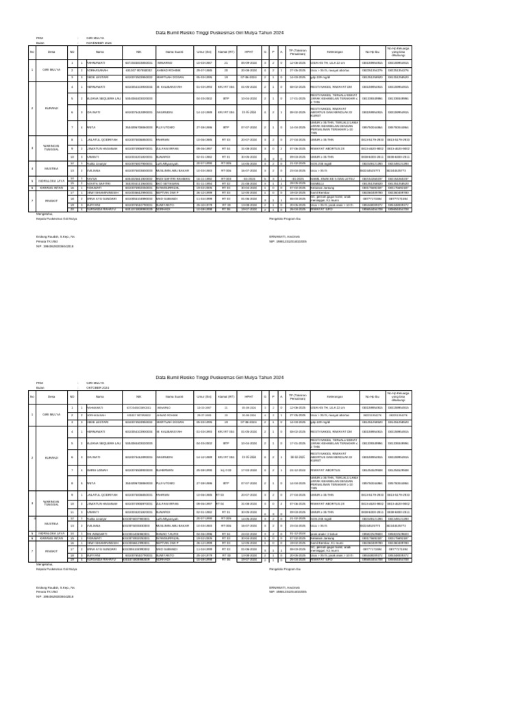 Form Data Bumil Risti Pkm Giri Mulya Sampai Feb 2024 | PDF