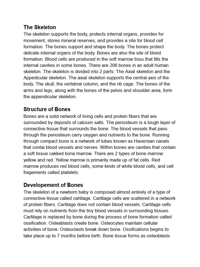 COrnell Notes SKeletal System | PDF | Bone | Skeleton