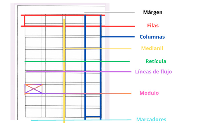 Anatomía-Retícula | PDF