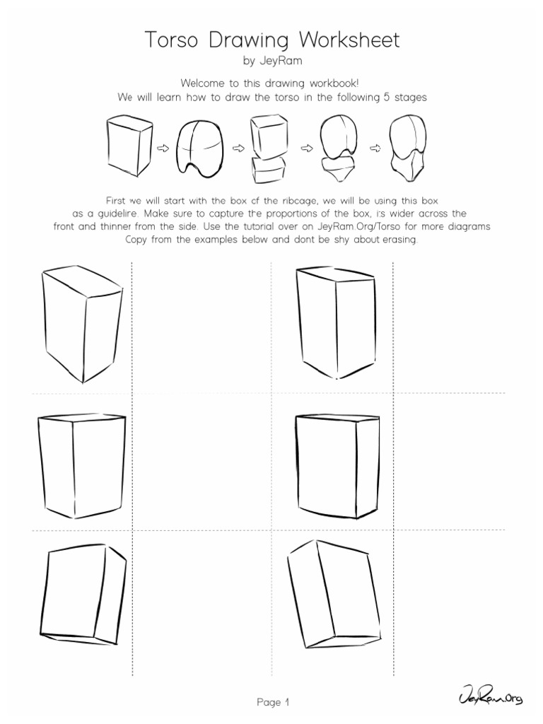Torso Worksheet by JeyRam | PDF